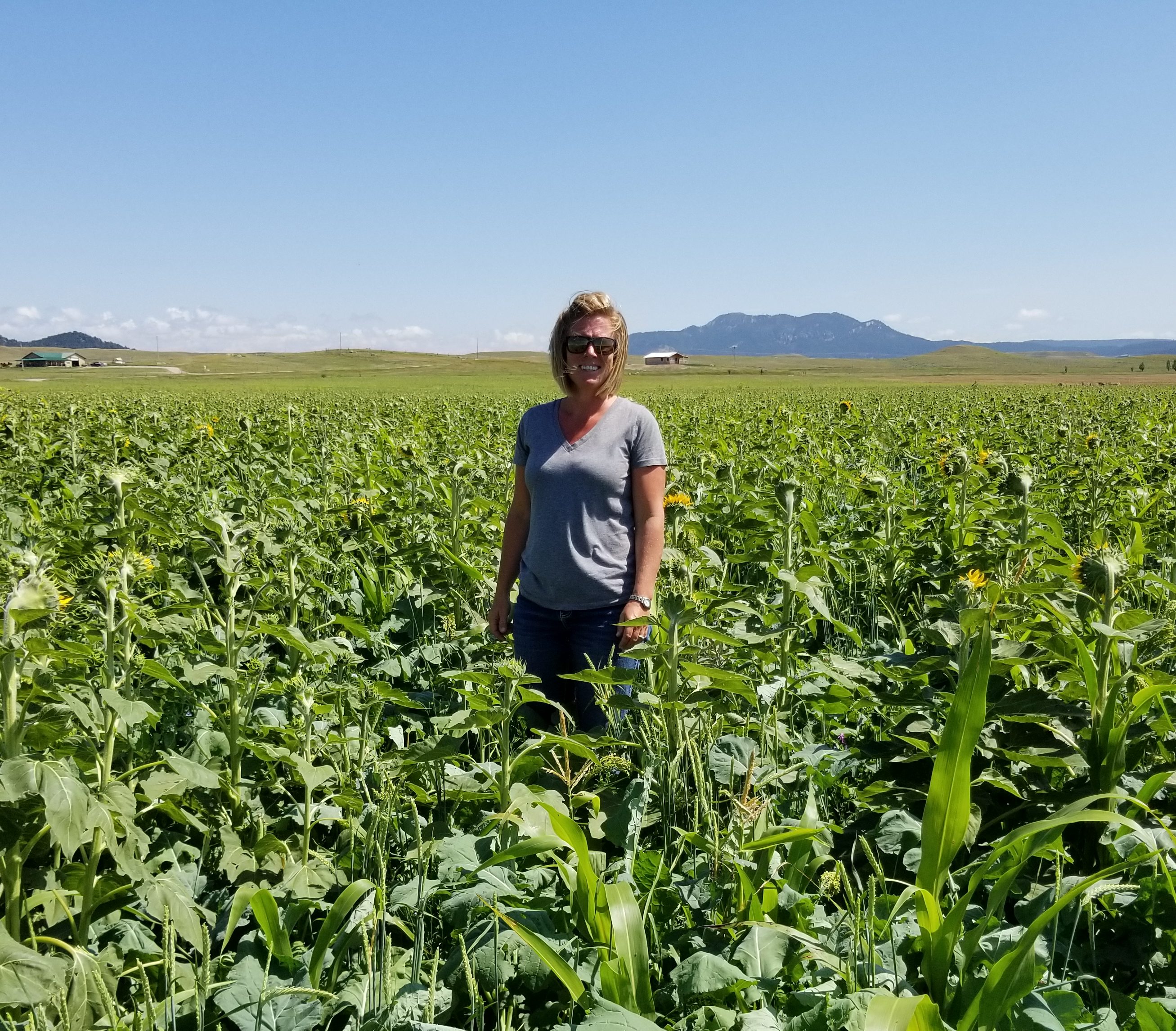 Meet the WCCC – Western Cover Crops Council